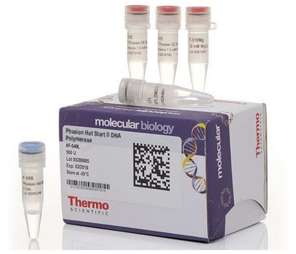 Phusion™ Hot Start II High-Fidelity DNA Polymerase | CÔNG TY CỔ PHẦN KỸ ...