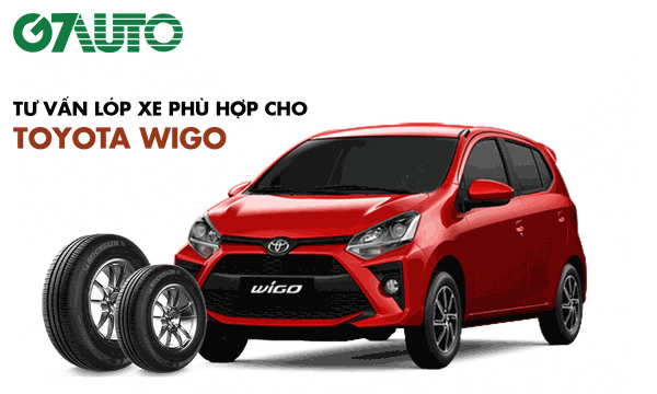 Hướng dẫn wigo là gì và cách sử dụng hiệu quả