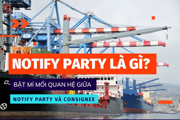 Notify party là gì? Bật mí mối quan hệ giữa Notify party và Consignee ...