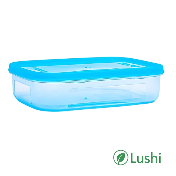 Hộp Nhựa Chữ Nhật Thấp 600ml LUSHI – Nhỏ Mà Có Võ - LUSHI.VN | LUSHI.VN ...