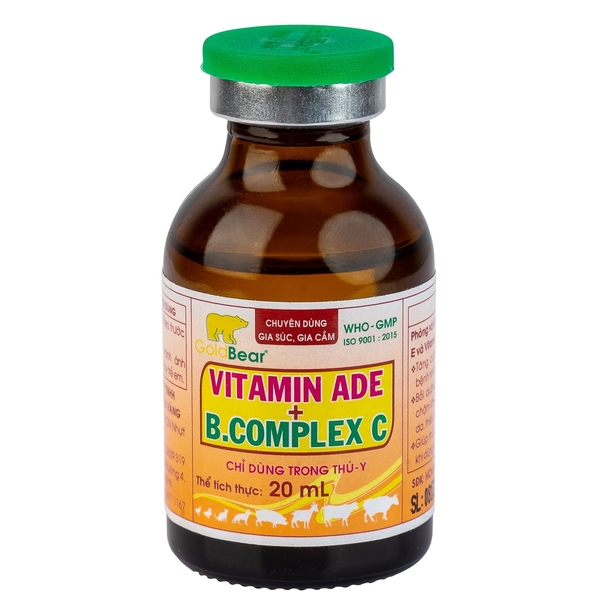 VIT ADE+B COMPLEX C (20ML) | Gấu Vàng