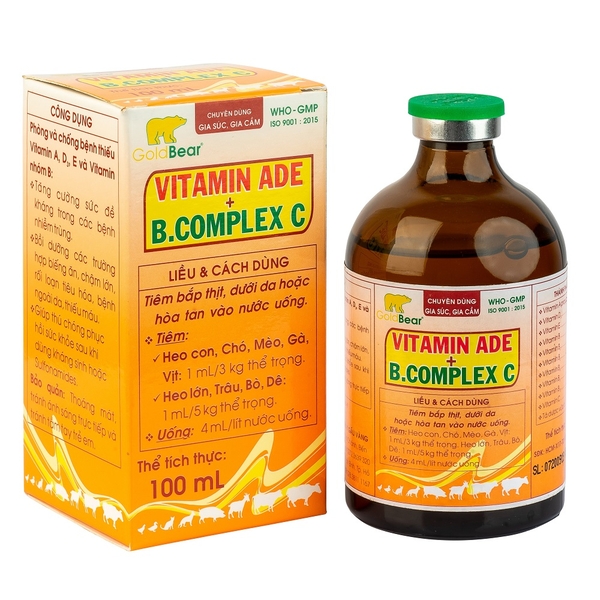 VIT ADE+B COMPLEX C (100ML) | Gấu Vàng
