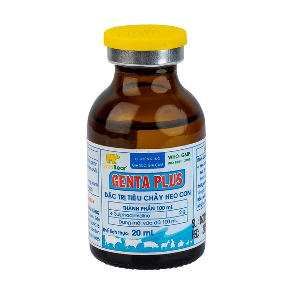 Rx-GENTA PLUS (20 ML/LỌ)-Thuốc kê đơn | Gấu Vàng