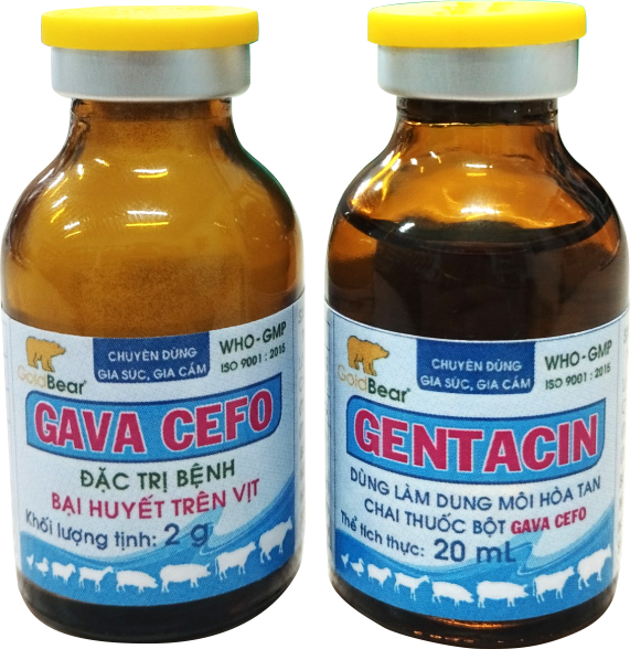 BỘ ĐÔI SẢN PHẨM: GAVA CEFO-GENTACIN (2 G+20 ML) | Gấu Vàng