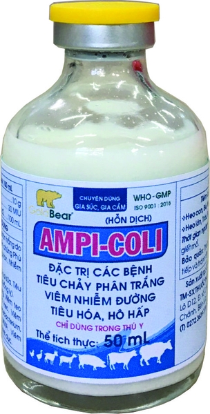 Rx-AMPI-COLI (50 ML/LỌ)-Thuốc kê đơn | Gấu Vàng