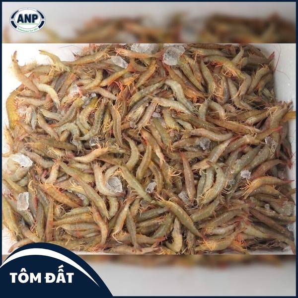 Top 6 các món ngon từ tôm đất mới nhất năm 2022 - Kiến Thức Cho Người ...