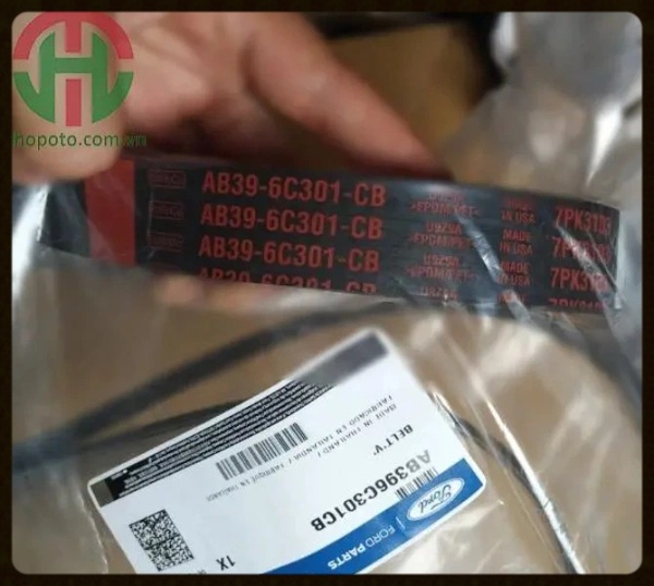 Dây curoa tổng Ford Ranger Máy 3.2 2014-2020 Mã: AB39-6C301-CB