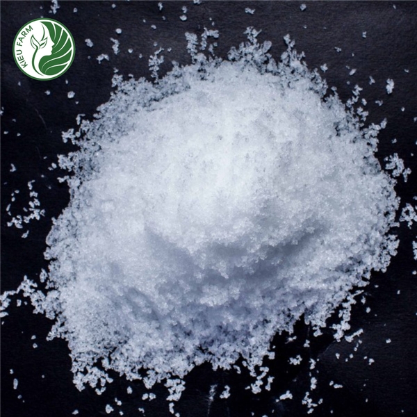 Phân bón trung lượng Haifa Magnisal (MGNO3)_KIEUFARM | CÔNG TY TNHH ...