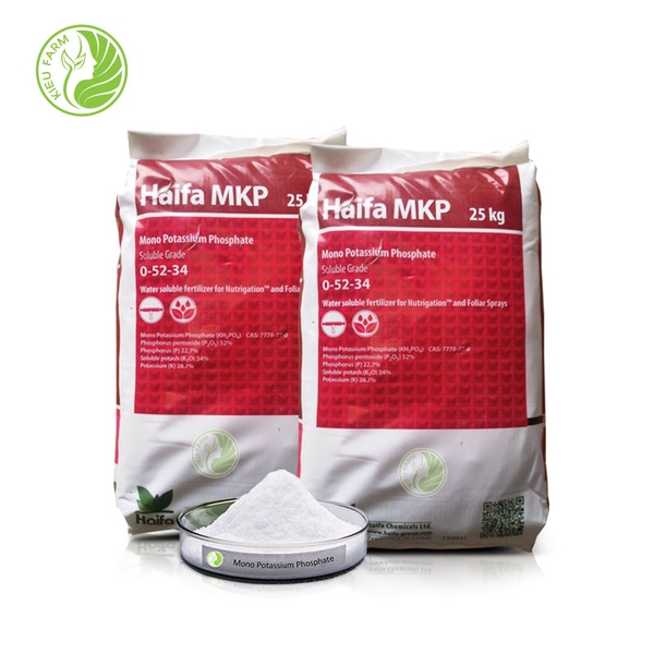 Phân bón đa lượng MKP - Haifa - Bao 25kg | CÔNG TY TNHH KIEUFARM