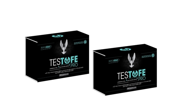 Thực phẩm BVSK Testofe Pro CÔNG TY CỔ PHẦN DƯỢC PHẨM ESICO VIỆT NAM