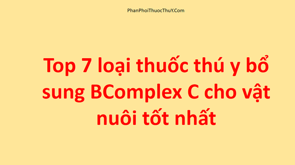 Top 7 loại thuốc thú y bổ sung BComplex C cho vật nuôi tốt nhất Phân ...