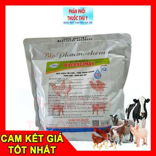 Bio Bacimax Kg Chính Hãng Giá Tốt Phân Phối Thuốc Thú Y