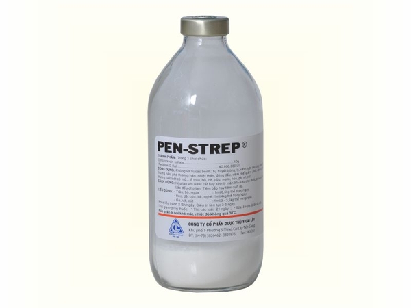 CL Pen Strep 500ml (Bột pha tiêm) Chính Hãng Phân Phối Thuốc Thú Y