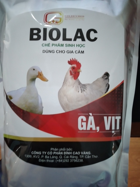 Golden Biolac (10 in 1) kg Chính Hãng Giá Tốt Phân Phối Thuốc Thú Y