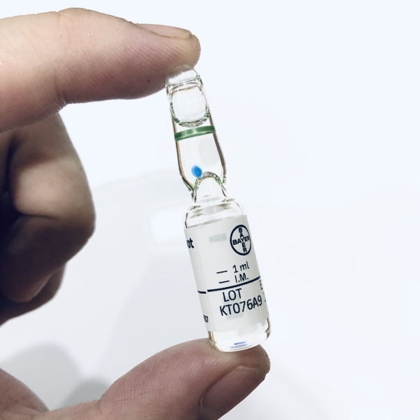 Testoviron Depot -Testosteron Enanthate- Hãng Bayer- Hộp 1 ống 1ml