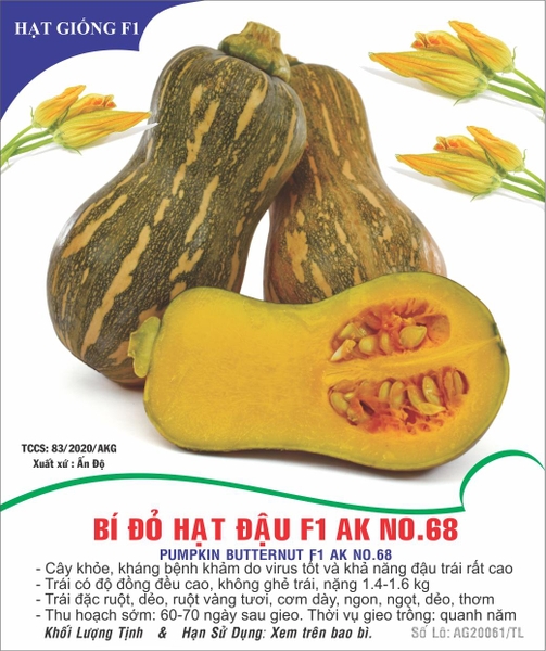 BÍ ĐỎ HẠT ĐẬU F1 AK NO. 68 - PUMPKIN BUTTERNUT F1 AK NO.68 King Agro