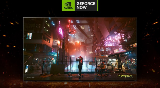 Smart Tivi QNED LG 4K 75 inch 75QNED80TSA – Đỉnh cao công nghệ Tivi 20