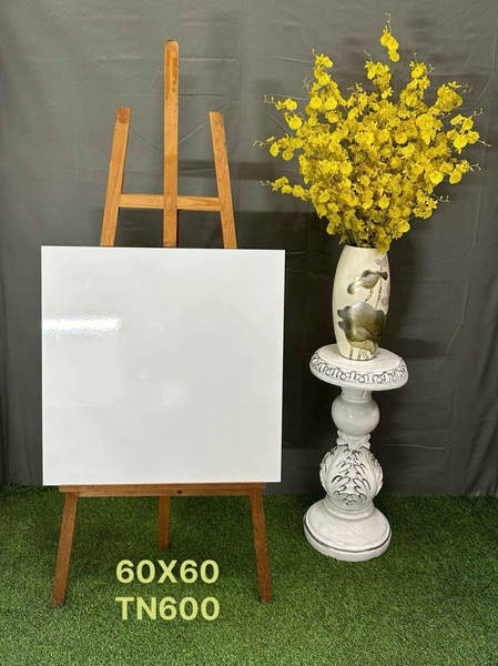 TN600 CÔNG TY TNHH TM TRIỀU THUẬN NGUYÊN