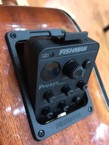 EQ Fishman 301 Chính Hãng - EQ Fishman PRO-PSY-301 Vinaguitar