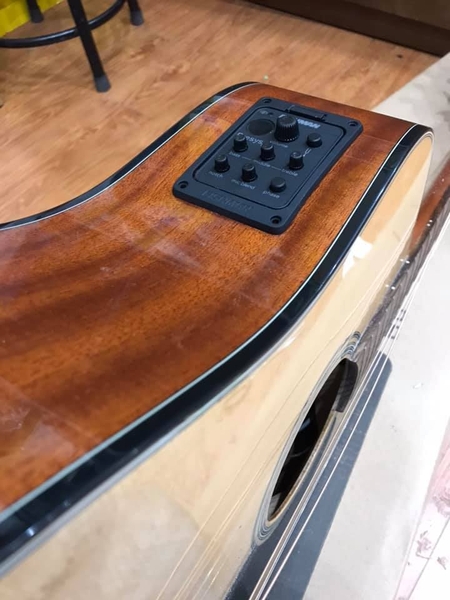 EQ Fishman 301 Chính Hãng - EQ Fishman PRO-PSY-301 Vinaguitar
