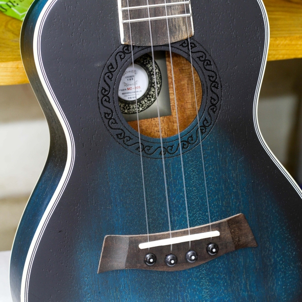 Đàn Ukulele Andrew 805 / 905 Concert Tenor - Ukulele Andrew Xanh Ombre ...