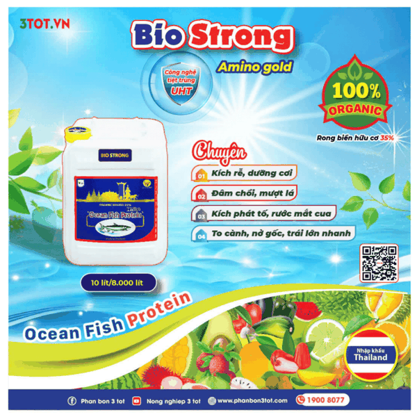 DỊCH CÁ BIO STRONG CÓ GÂY NỨT THÂN, XÌ MỦ TRÊN SẦU RIÊNG? Phân Bón 3Tot.vn