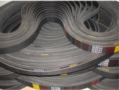 MVP BELT CÔNG TY CỔ PHẦN KHOA HỌC CÔNG NGHIỆP ĐẠI NAM