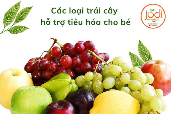 trái cây hỗ trợ hệ tiêu hóa cho bé | Trái cây Jodi