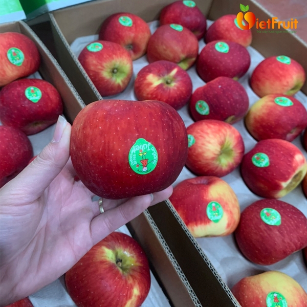 Táo Juliet Organic S100 VietFruit