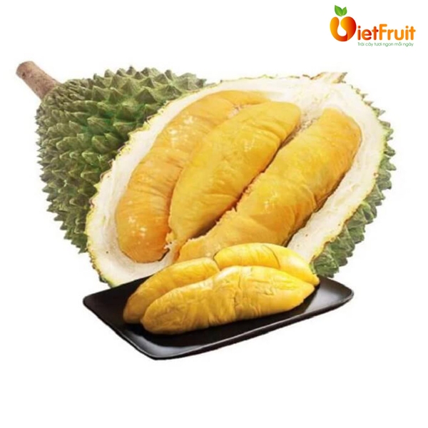 Sầu Riêng Ri 6 - Tiêu Chuẩn VietGap VietFruit