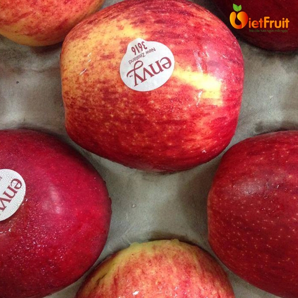 Táo Envy Mỹ S24 VietFruit
