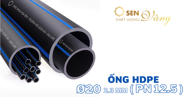 Ống HDPE 20 NPP Quyền Quý