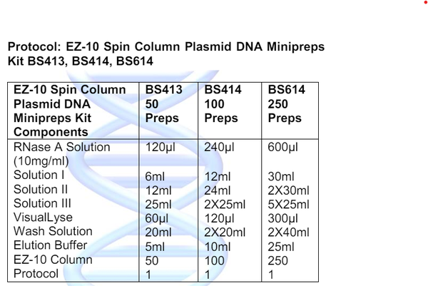 EZ-10 Spin Column DNA Gel Extraction Kit Công ty LABTECH Việt nam
