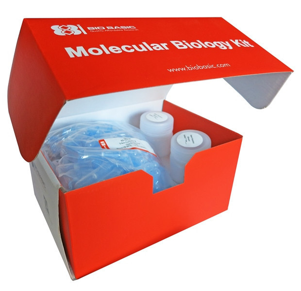 EZ-10 Spin Column Viral Total RNA Extraction Kit Công ty LABTECH Việt nam