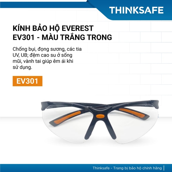 Kính bảo hộ Everest EV301 chống bụi chống đọng sương tia UV