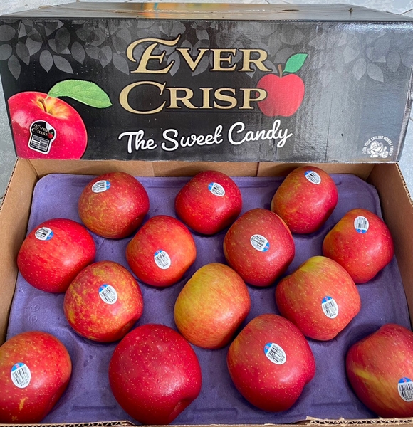 Táo Ever Crip 3A sz 24 | PHUC FRESH