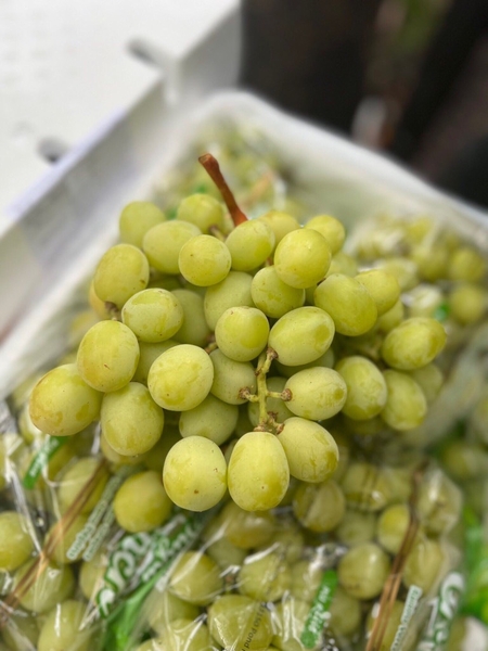 Nho xanh Sugar Crunch | PHUC FRESH