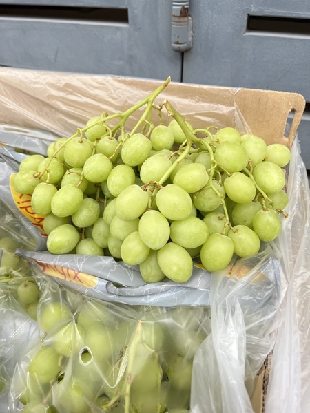 Nho Xanh sweet global Hydix Nam Phi (air) | PHUC FRESH