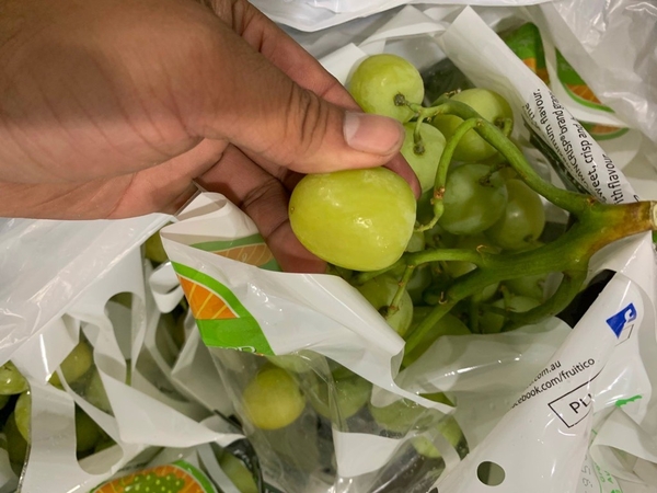Nho xanh Fruitico Úc | PHUC FRESH