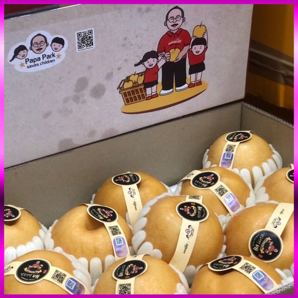 Lê Singo Hàn Quốc Everygood size 26 | PHUC FRESH