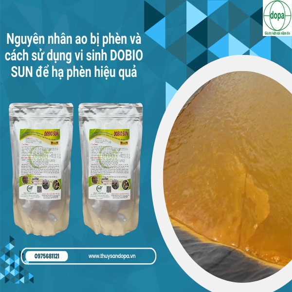 Nguyên nhân ao bị phèn và cách sử dụng vi sinh DOBIO SUN để hạ phèn ...