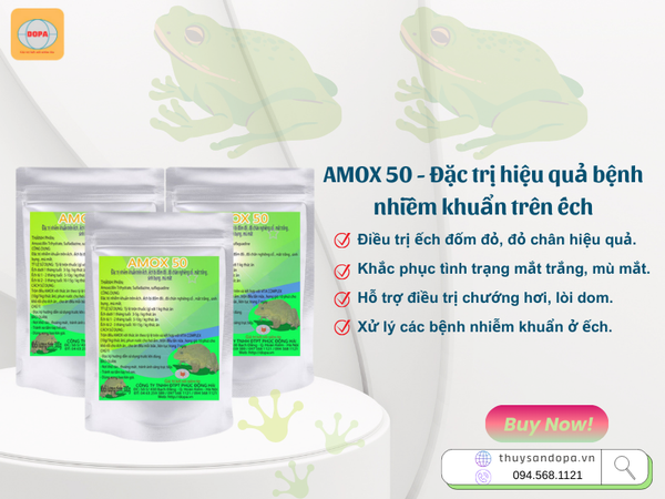 AMOX 50 - Đặc trị hiệu quả bệnh nhiễm khuẩn trên ếch - Thủy Sản Dopa ...