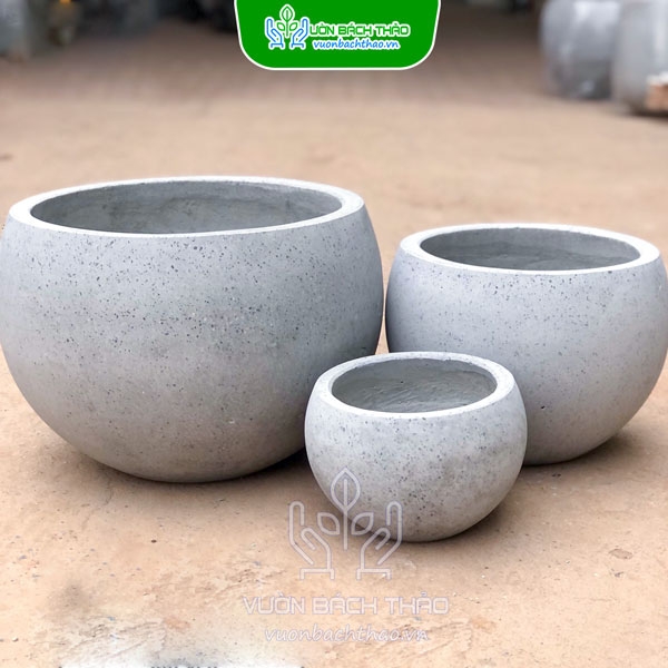 Chậu Xi Măng Đá Mài Gáo Dừa | Vườn Bách Thảo
