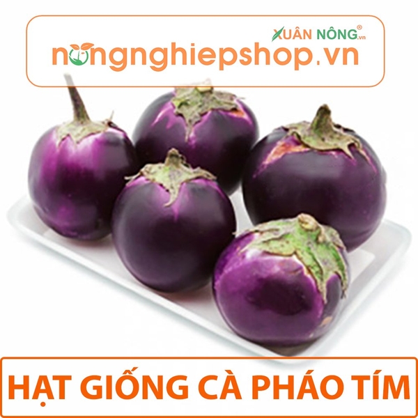 Bán hạt giống cà pháo tím năng suất cao - Xuân Nông | Hạt giống, phân ...