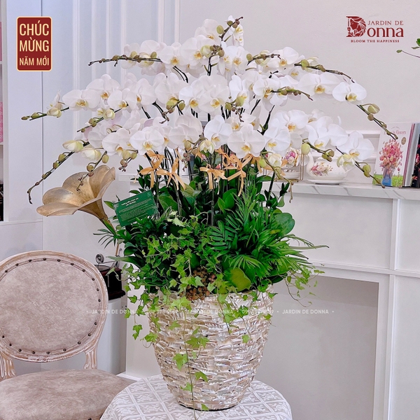 Cánh Én Vườn Xuân Jardin de Donna