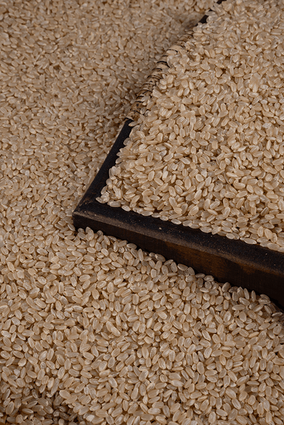 Japonica Brown Rice TUONG LAN AGREX CO., LTD