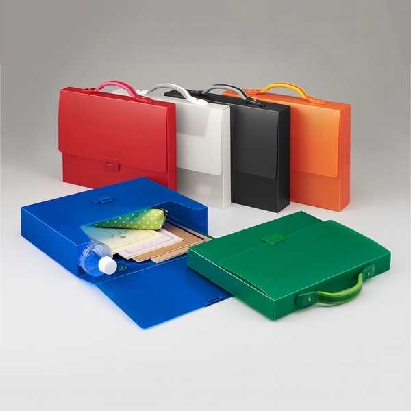 Carrying Case 282TW - KING JIM