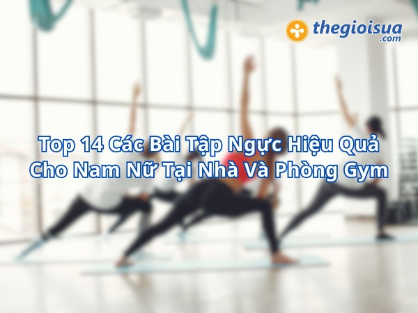 Top 14 Các Bài Tập Ngực Hiệu Quả Cho Nam Nữ Tại Nhà Và Phòng Gym