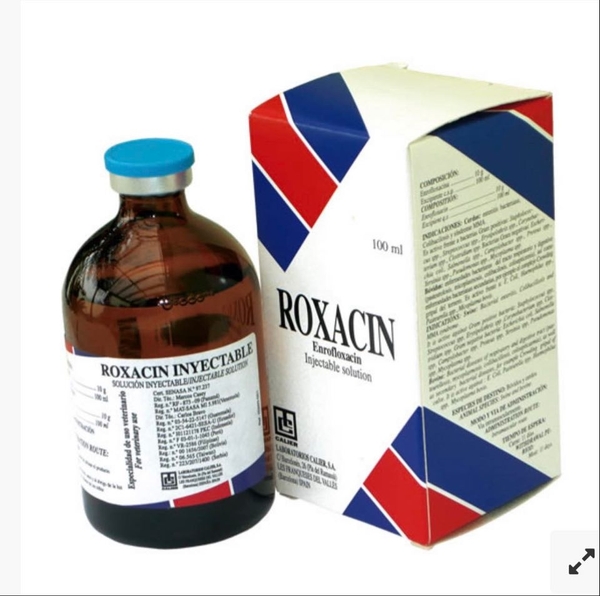 Roxacin - Kháng sinh tiêm Enrofloxacin Công ty Dr.BO