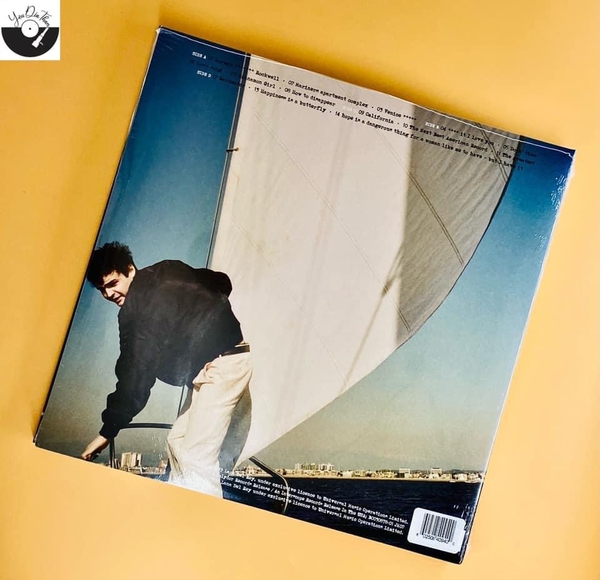 vinyl LANA DEL REY - NFR! (2LP)